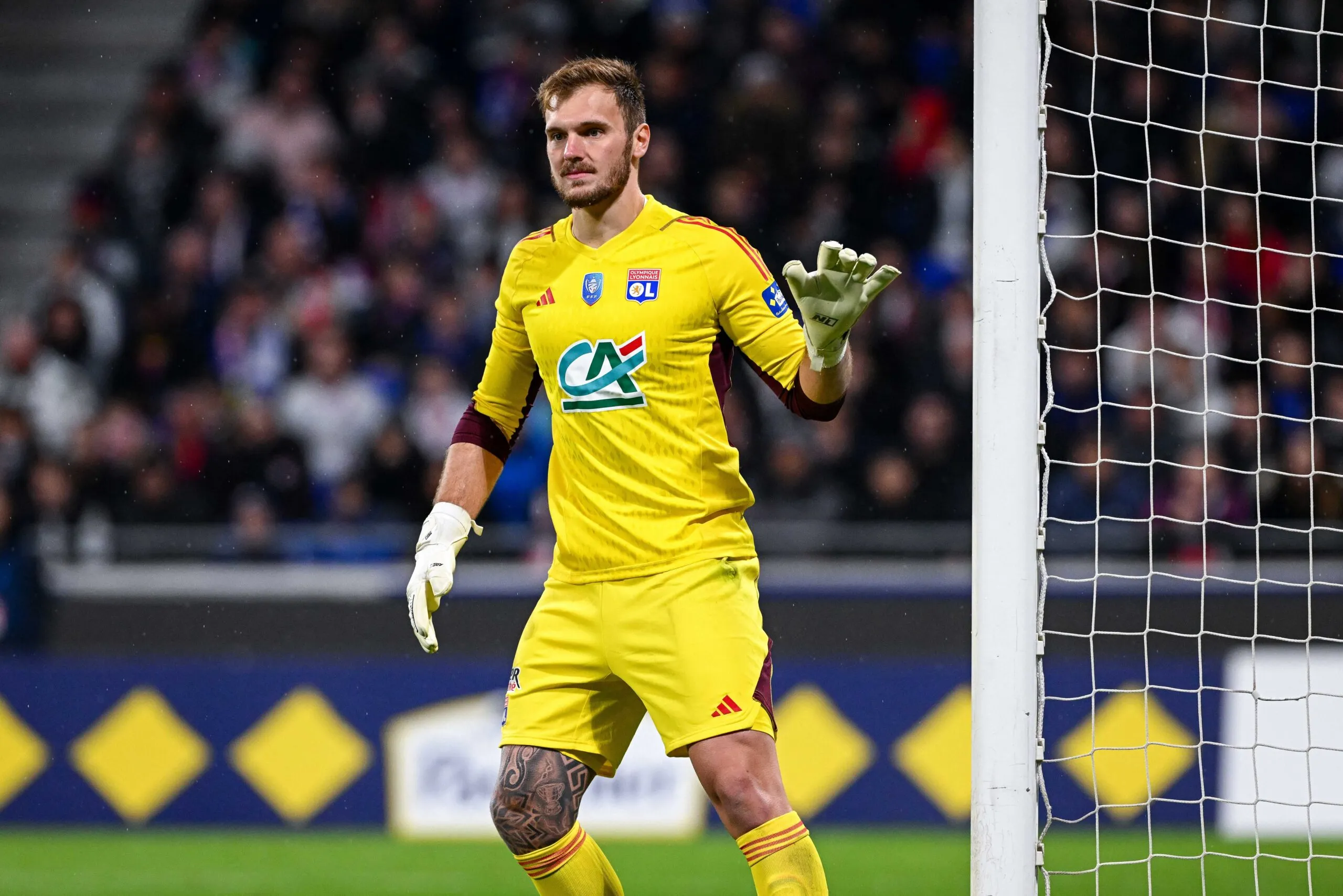 Lucas Perri, la doublure qui peut faire suer Anthony Lopes - Coupe de ...